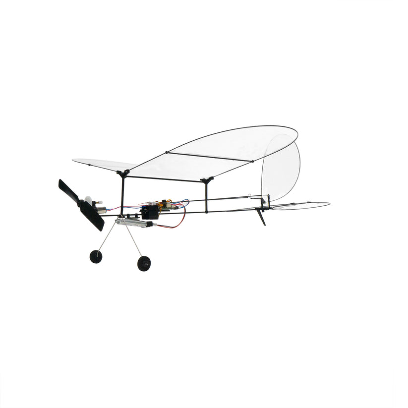 Buy MinimumRC Butterfly T1-2024 Micro RC Plane - High Performance ...